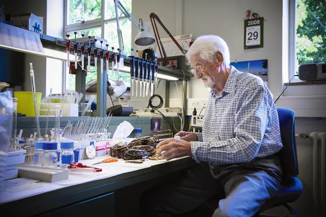 Krabber, klikkemi – og to Nobelpriser | Carlsbergfondet.dk